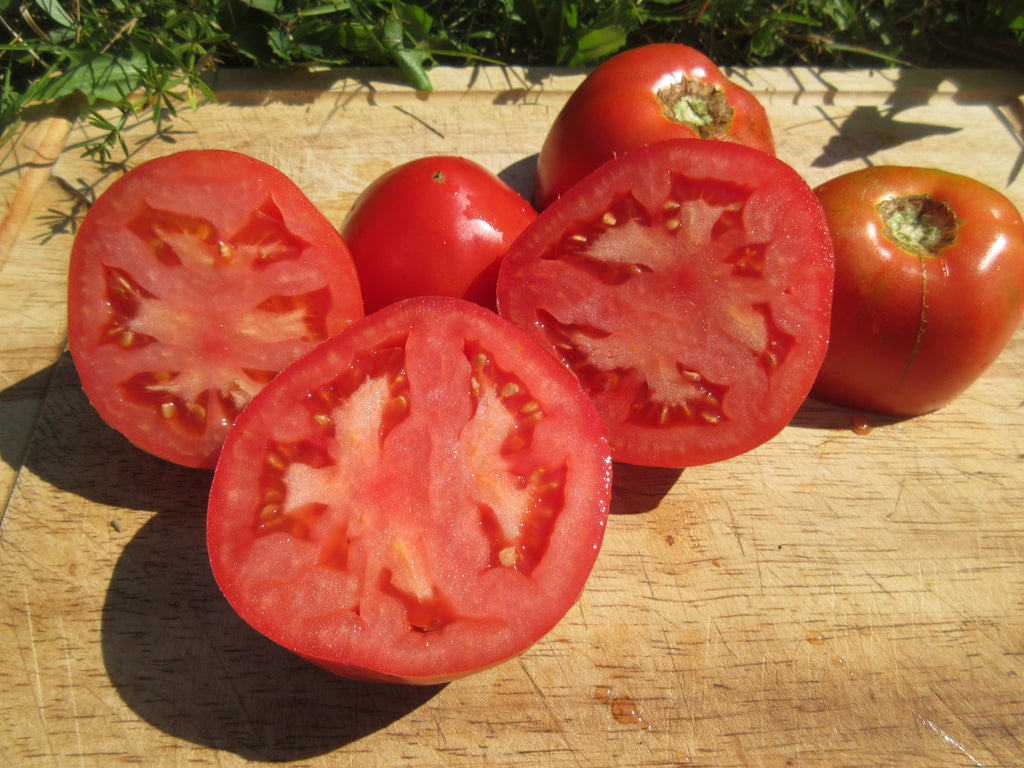 Graines de Tomate Amish Paste - Semences bio – Ferme Coop du Moulin