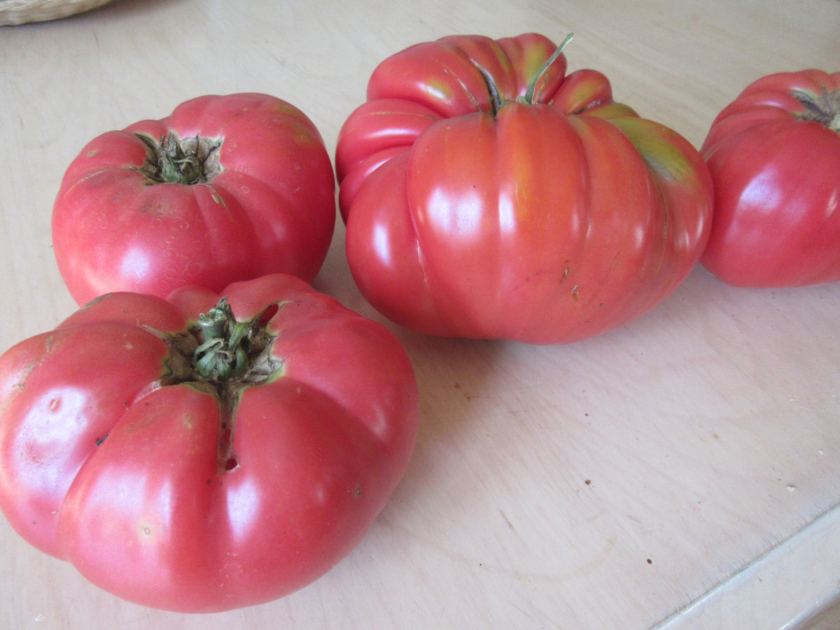 Tomate Beef Prudens Purple – Ferme Coop du Moulin